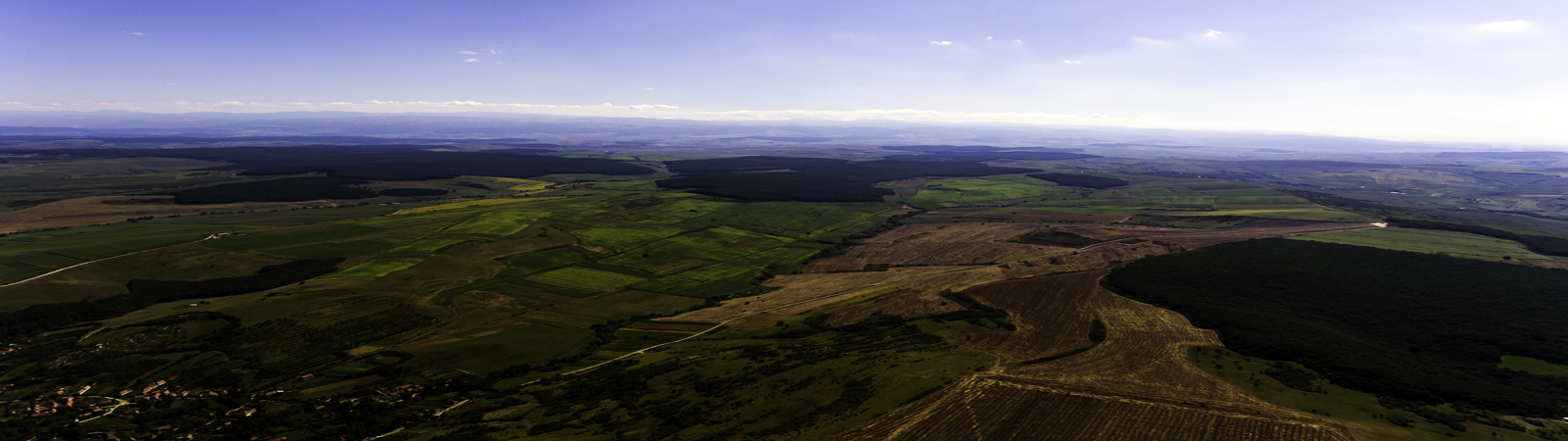 Primaria Comunei Ohaba – Pagina oficiala a comunei Ohaba judetul Alba